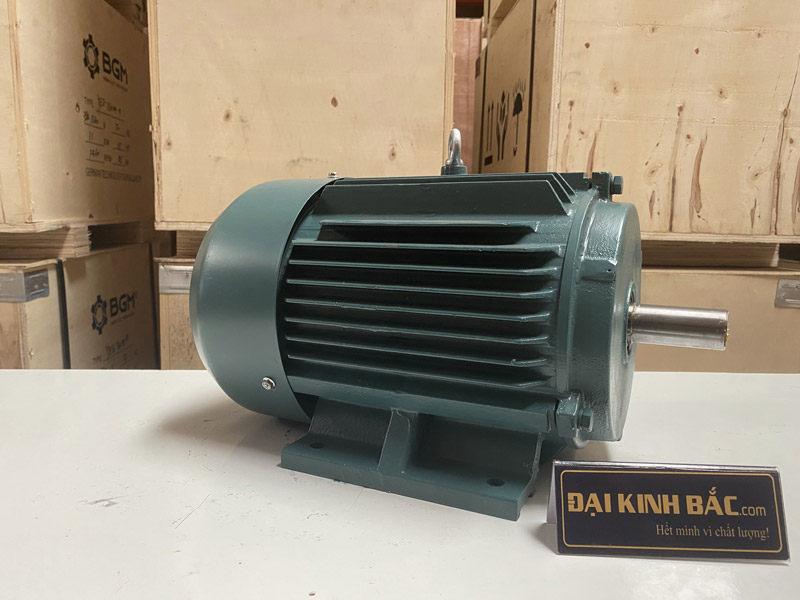 Motor điện YE2-132S2-2 7.5kw 2 cực